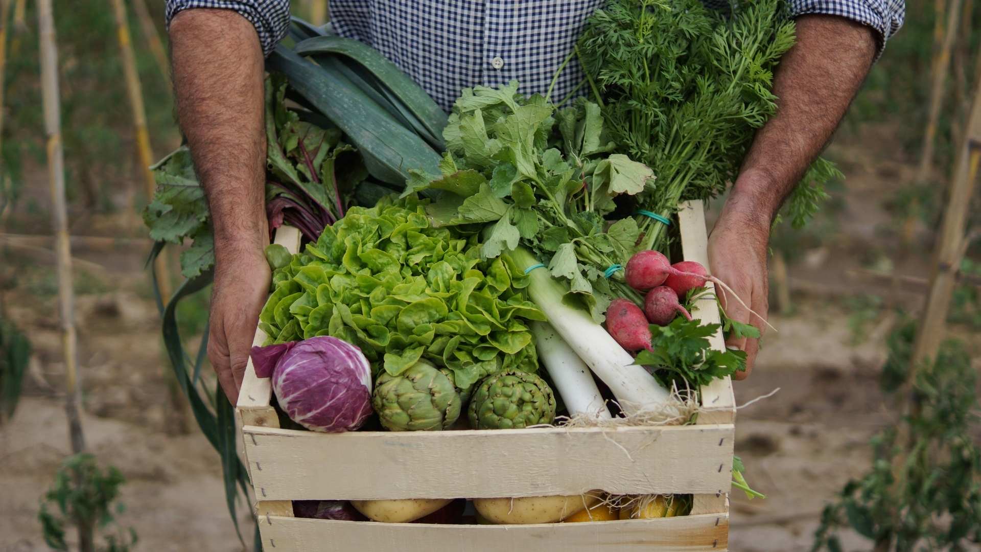 The Power Of Organic • IINH